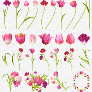 Digital Tulips Clipart, Spring Flower Clip Art, Floral Elements Clipart ...