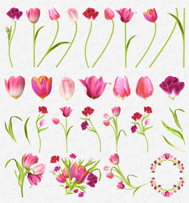 Digital Tulips Clipart, Spring Flower Clip Art, Floral Elements Clipart ...
