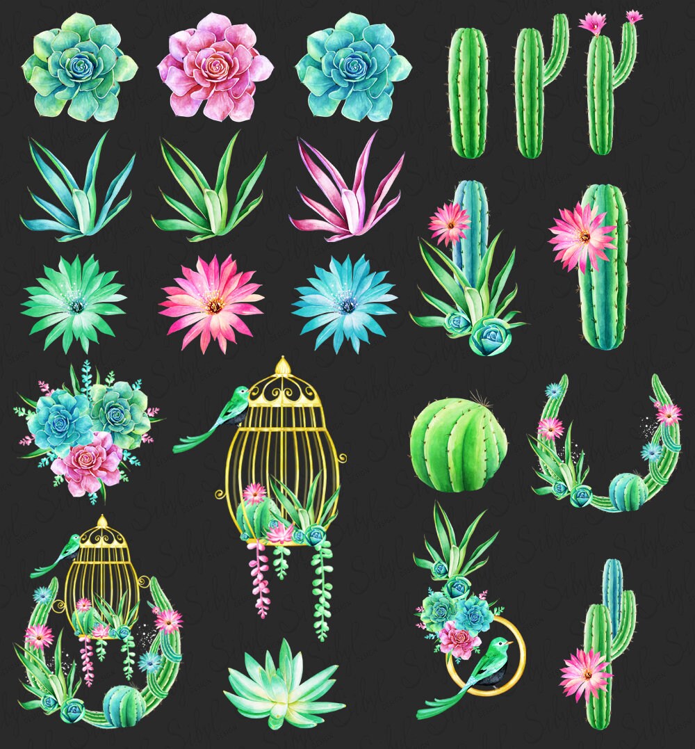Digital Succulent Clip Art Watercolor Floral Digital Clip - Etsy