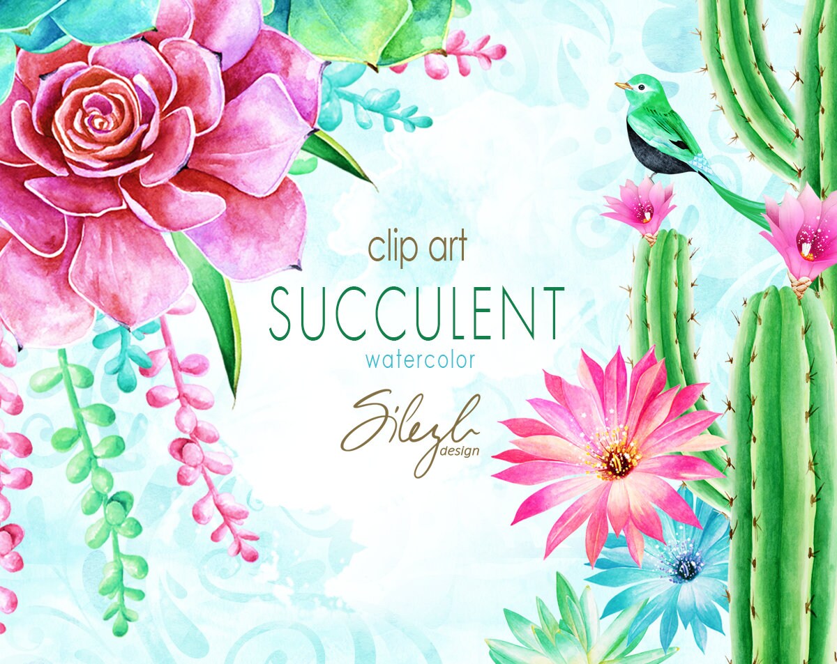 Digital Succulent Clip Art, Watercolor Floral Digital Clip Art, Cactus ...