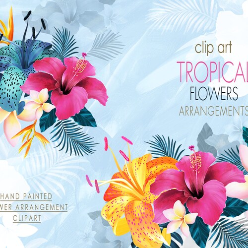 Hibiscus Tropical Watercolor Clipart Floral PNG Bouquet - Etsy