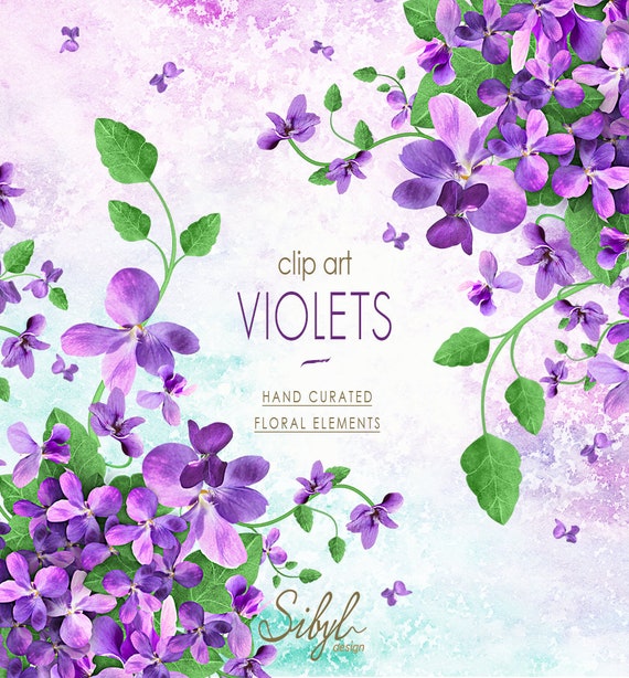 Spring Floral Digital Clipart Purple Violet Flower Clip Art - Etsy