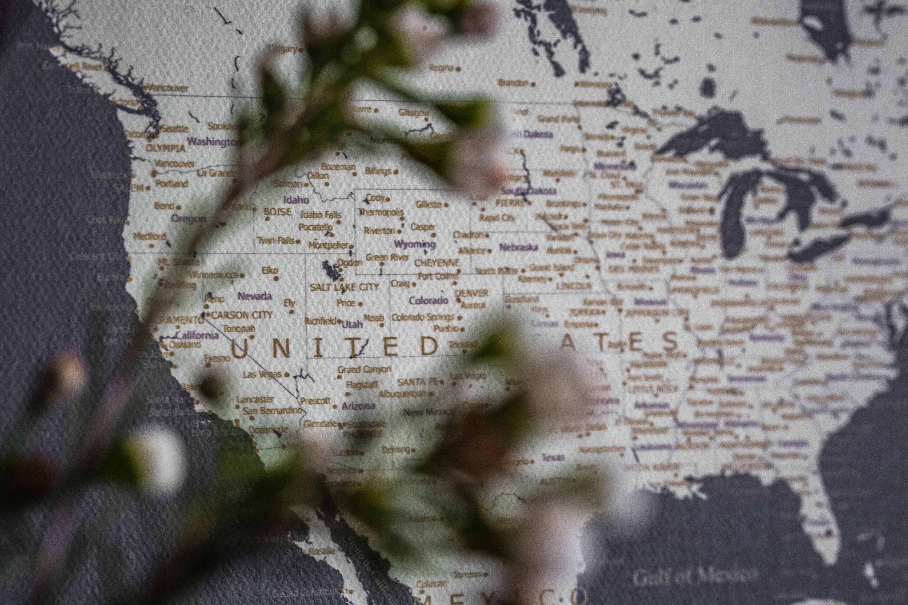 World Map on Canvas/push Pin Map on Canvas/100 Push Pins for - Etsy