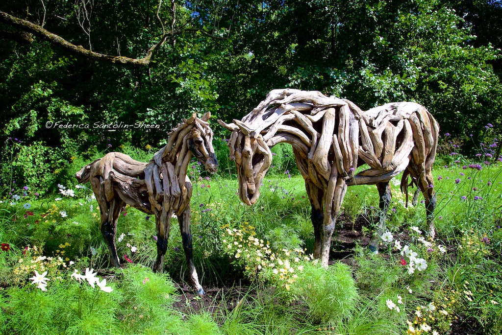 Wooden Horses Horse Photography Equestrian Photo Nature Photography ...