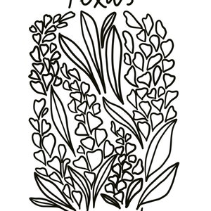 Texas-themed Coloring Pages Bundle - Digital Download to Print - Etsy