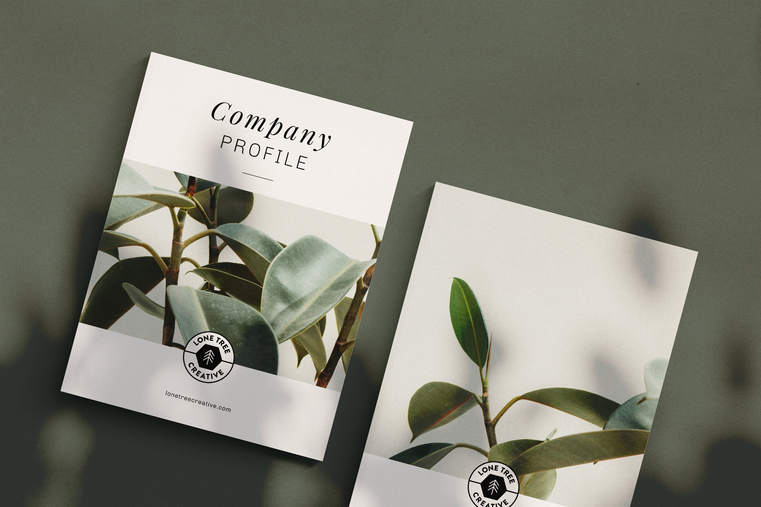 Editable Small Business Brochure Template: Canva & Indesign - Etsy