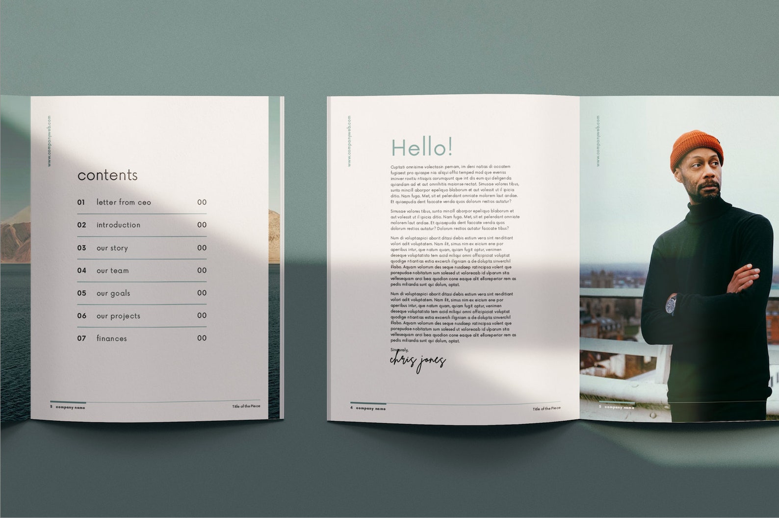 Minimalist Annual Report Template: Canva & Indesign (US Letter) - Etsy