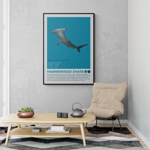 Sharks - Set of 4 Art Prints - Great White, Tiger Shark, Hammerhead ...