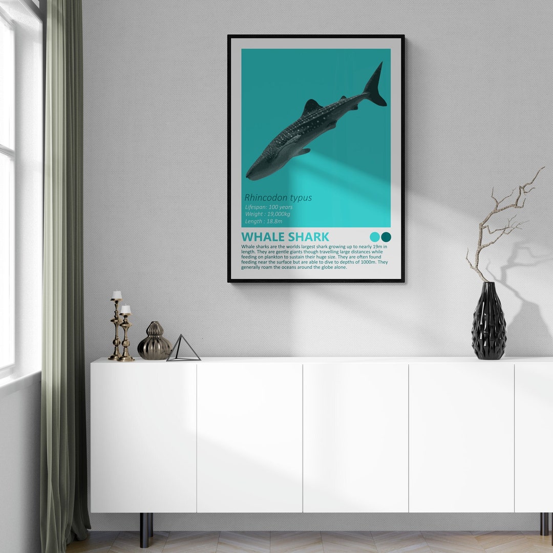 DIGITAL DOWNLOAD - Whale Shark - Fact Sheet Printable Art, Nautical ...