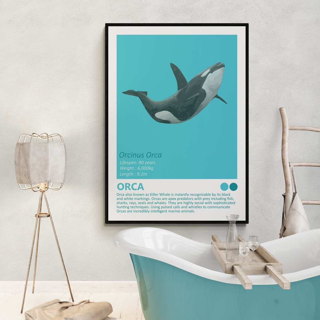 Orca - Killer Whale - Fact Sheet Art Print, Nautical Theme, Kids Room ...
