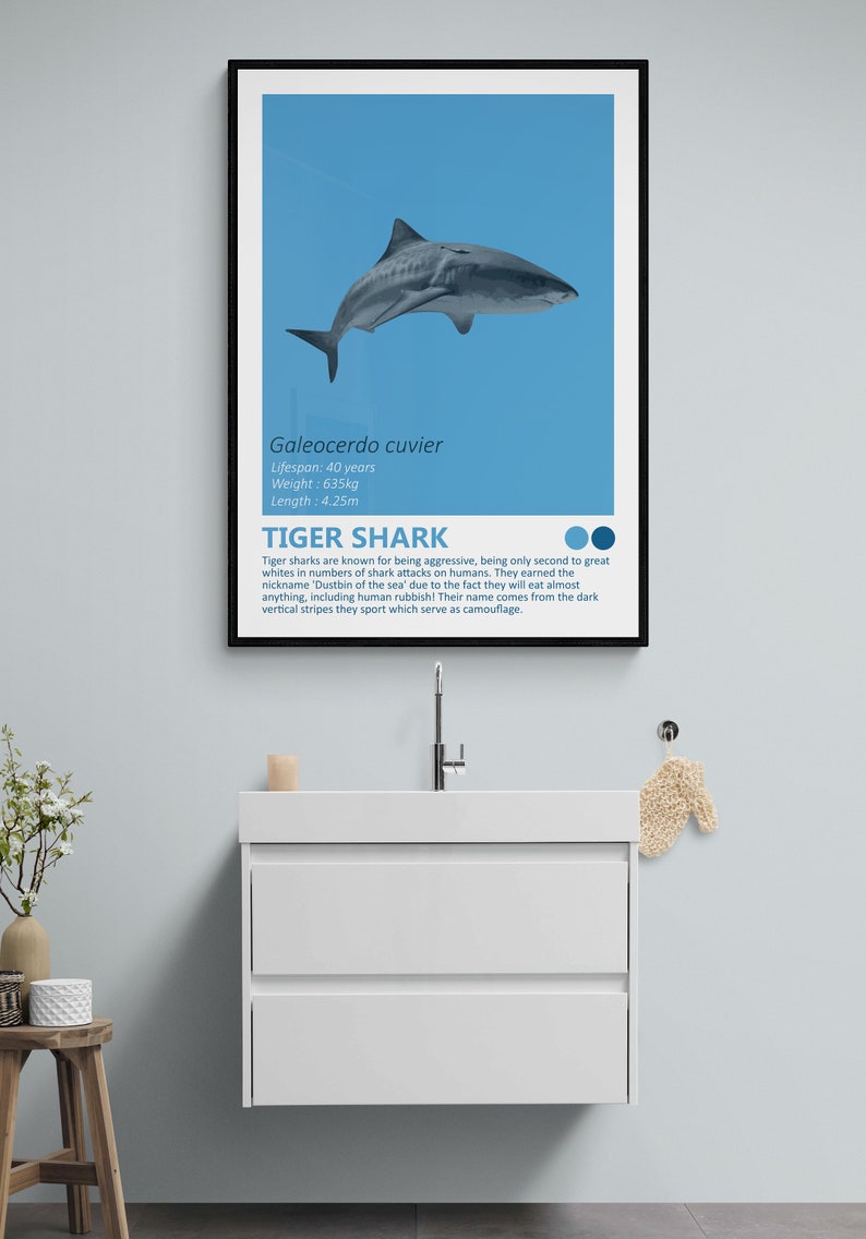 DIGITAL DOWNLOAD - Tiger Shark - Fact Sheet, Printable Art, Nautical ...