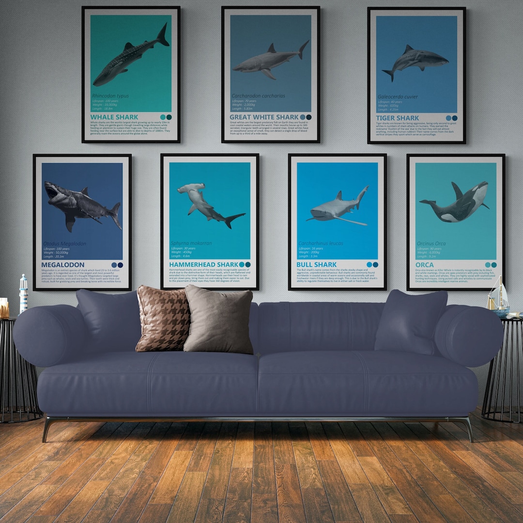 Sharks and Orca - Set of 7 Art Prints - Great White, Tiger Shark ...