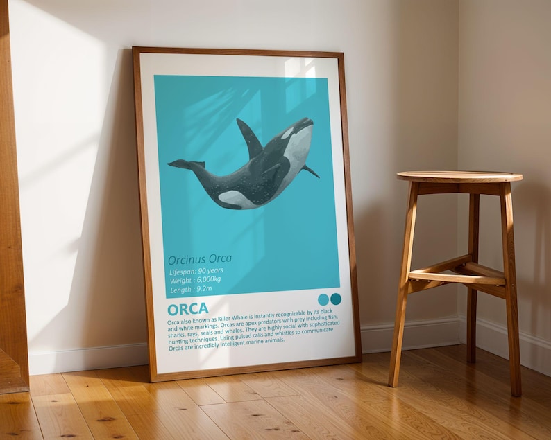 Orca - Killer Whale - Fact Sheet Art Print, Nautical Theme, Kids Room ...