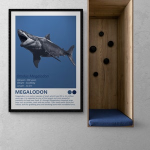 Megalodon - Shark Fact Sheet Art Print, Nautical Theme, Kids Room Home ...