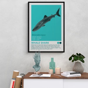 Sharks - Set of 4 Art Prints - Great White, Tiger Shark, Hammerhead ...