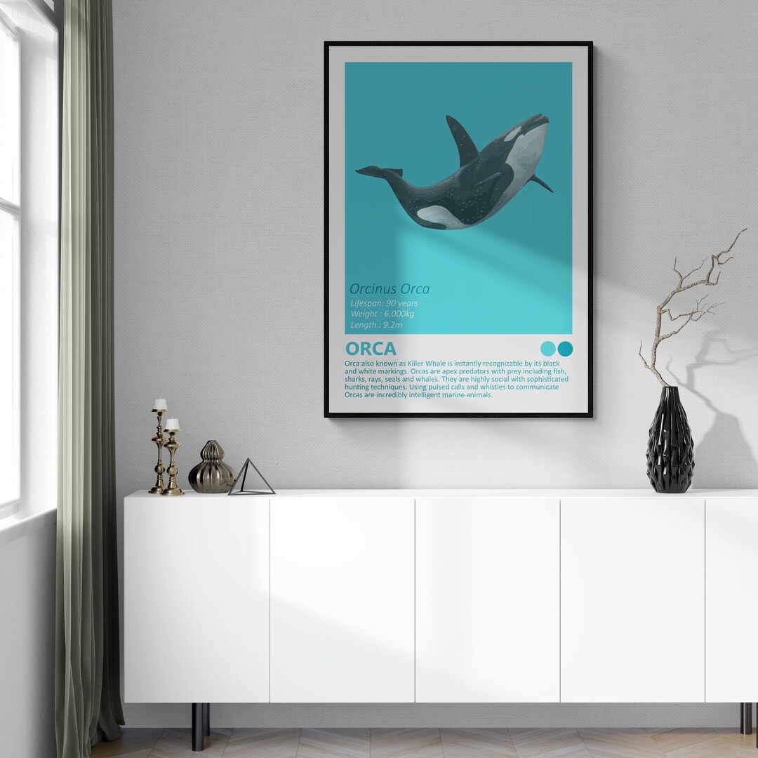 DIGITAL DOWNLOAD - Orca - Killer Whale - Fact Sheet, Printable Art ...
