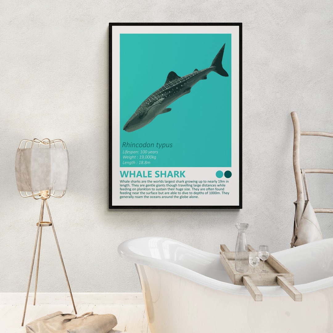 Whale Shark - Fact Sheet Art Print, Nautical Theme, Kids Room Home ...
