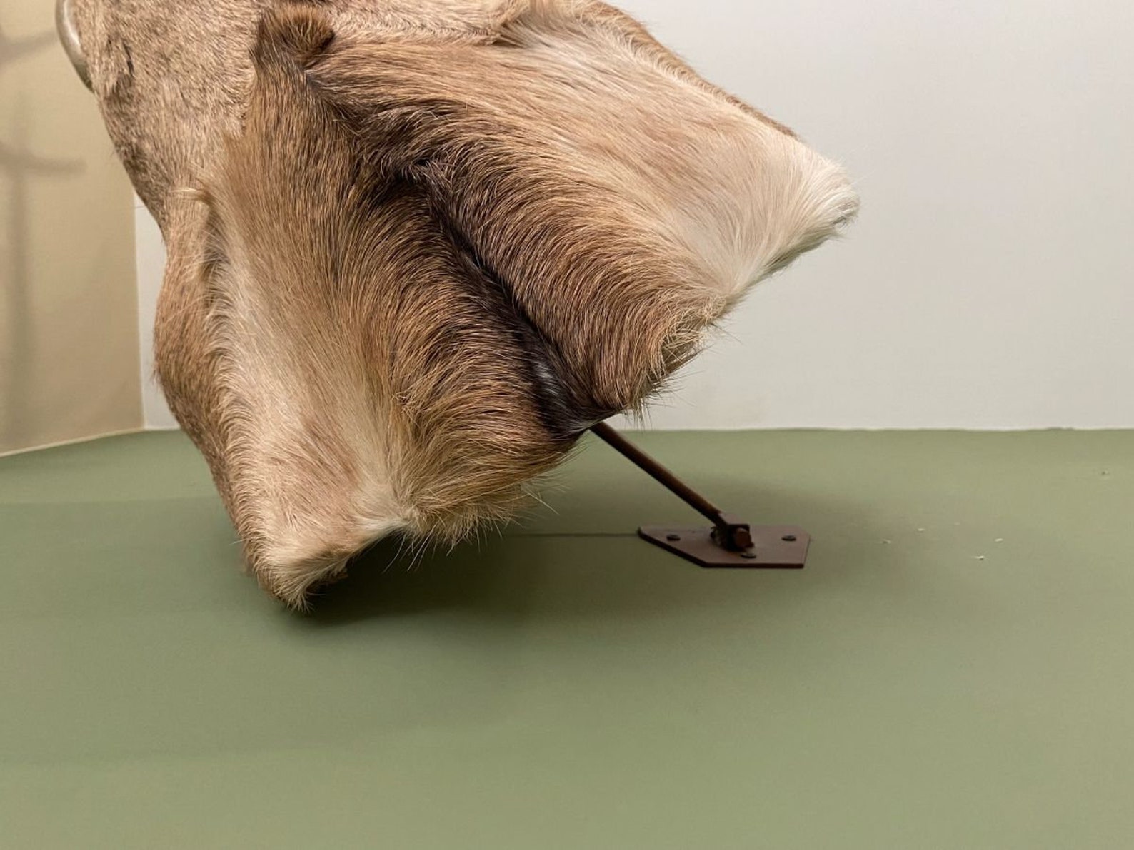 Adjustable Shoulder Mount Wall Hanger Shoulder Mount Not - Etsy