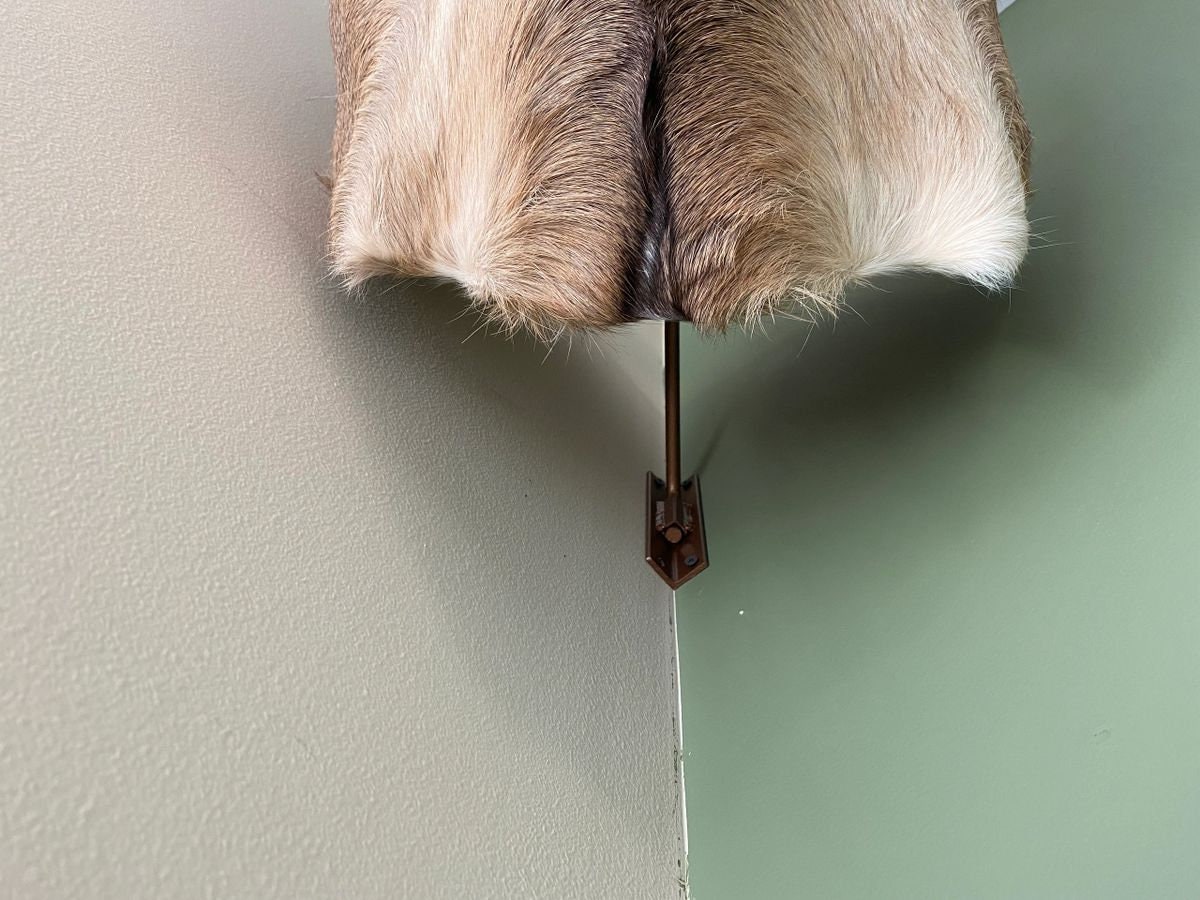 Adjustable Shoulder Mount Inside Corner Hanger | Etsy