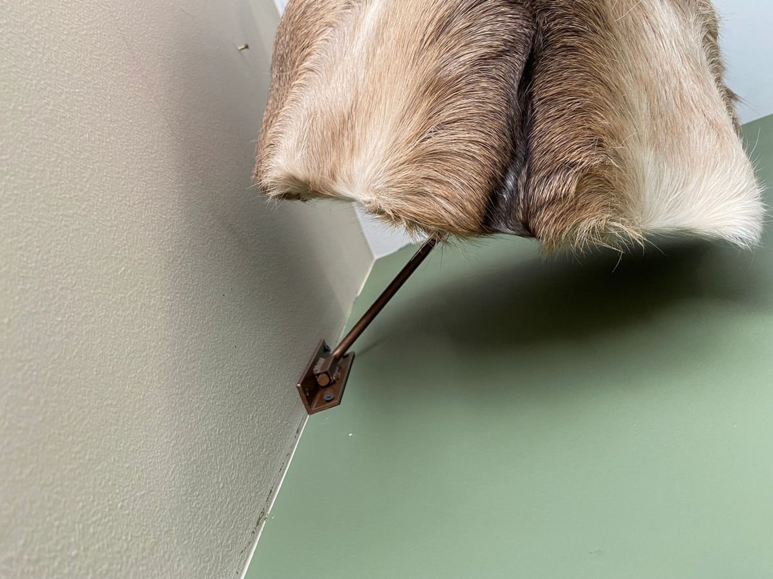 Adjustable Shoulder Mount Inside Corner Hanger | Etsy