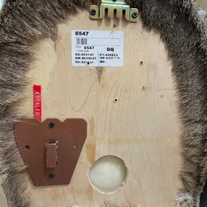 Adjustable Double Hanger for Shoulder Mounts- Deer NOT Included - Etsy