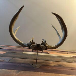 Skull Cap Mount Hanger - Etsy
