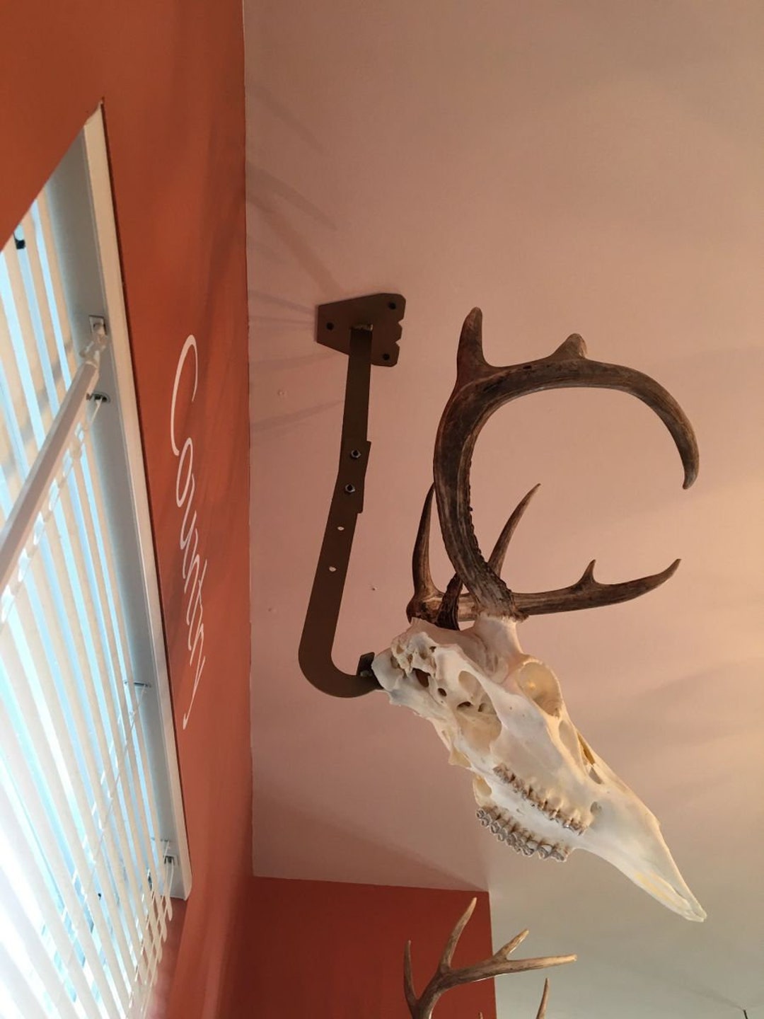 Ceiling Mount Skull Hanger- Antlers Not Included - Etsy