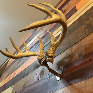 Skull Cap Mount Hanger - Etsy