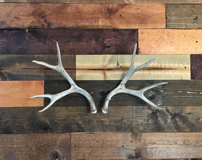 Elk/moose Shed Antler Mount Hanger Antlers Not Included - Etsy