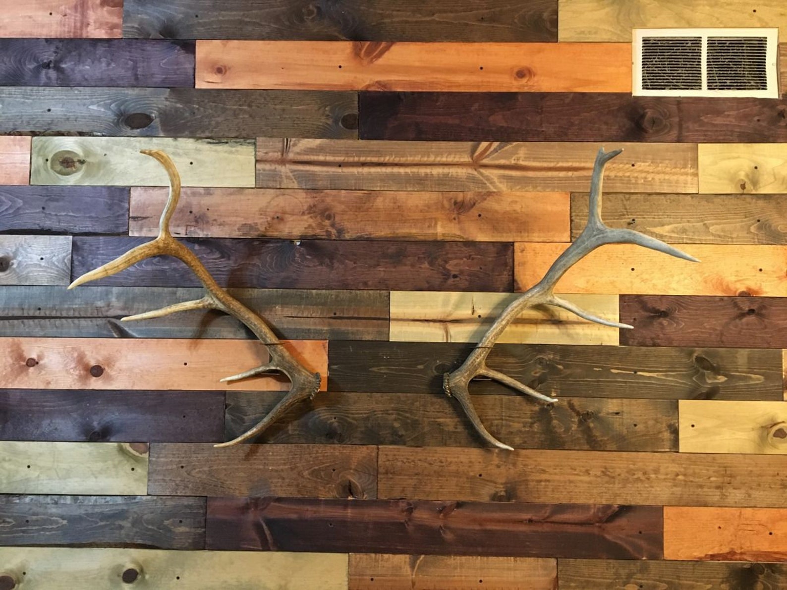 Elk/moose Shed Antler Mount Hanger Antlers Not Included - Etsy