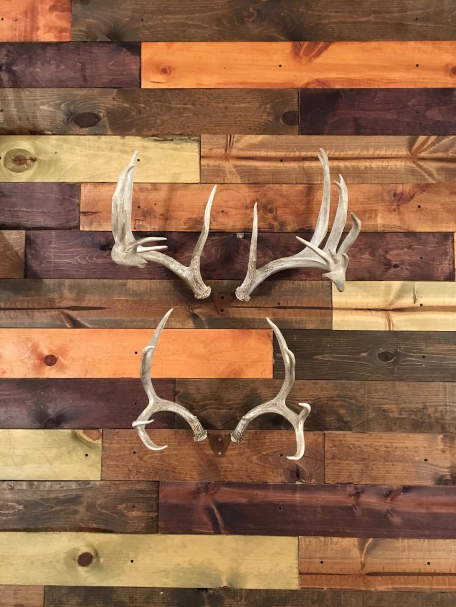 Shed Antler Mount Hanger - Etsy