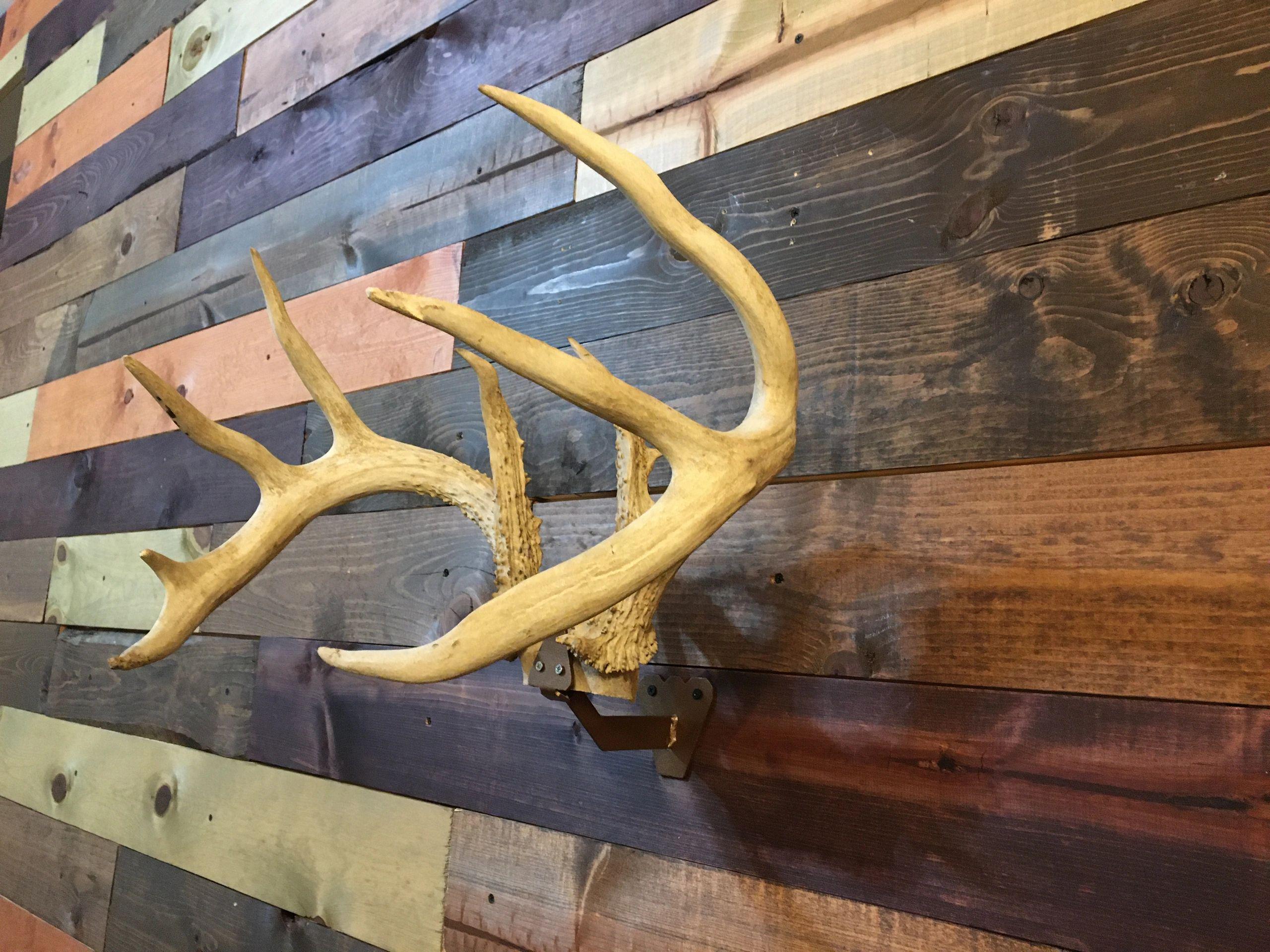 Skull Cap Mount Hanger - Etsy