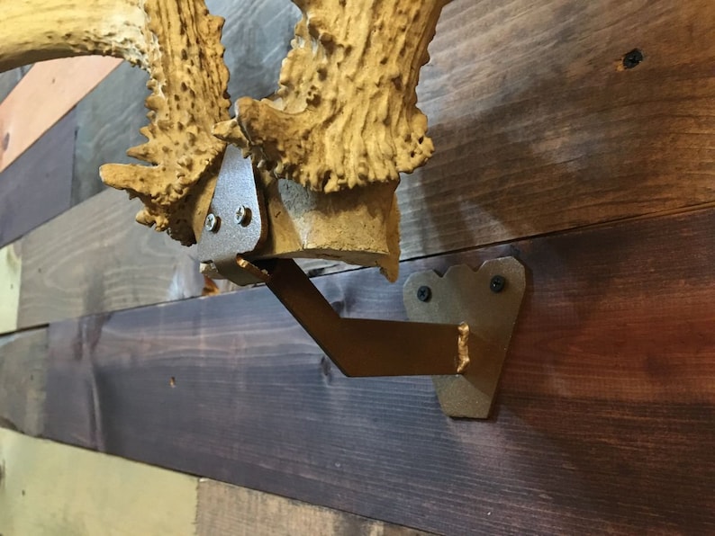 Skull Cap Mount Hanger- Antlers Not Included - Etsy