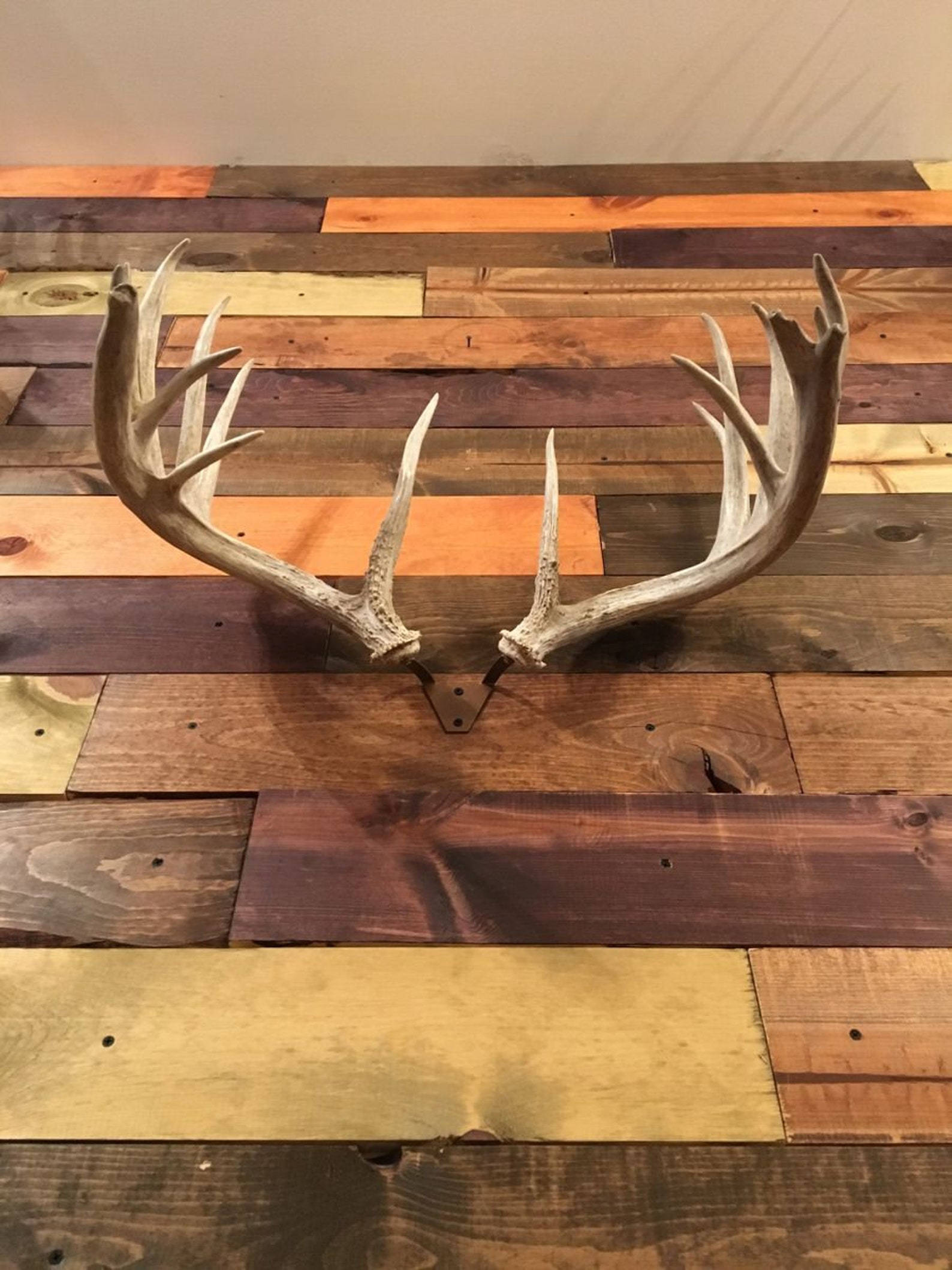 Shed Antler Mount Hanger | Etsy