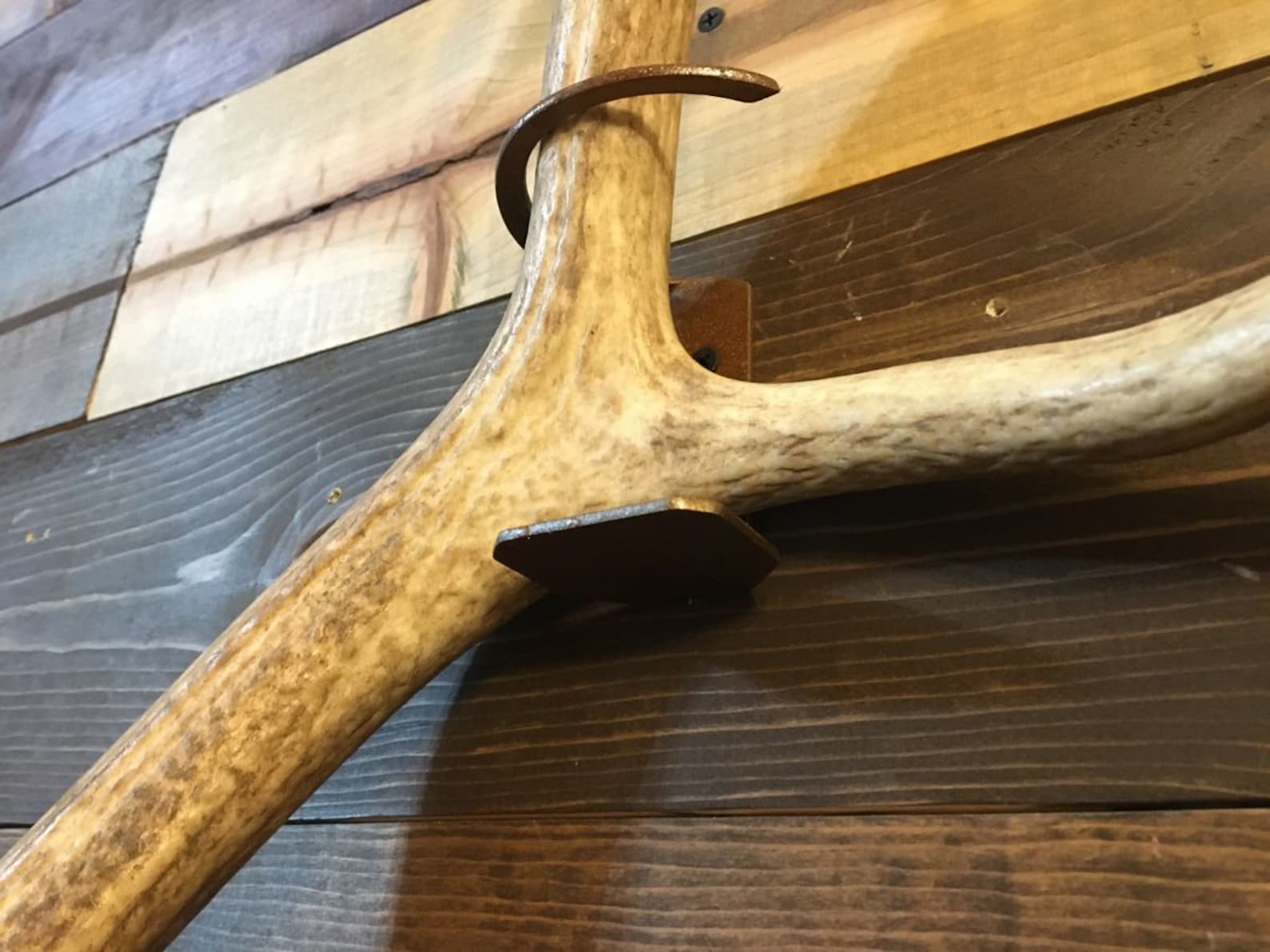 Elk/moose Shed Antler Mount Hanger Antlers Not Included - Etsy