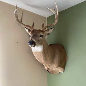 Adjustable Shoulder Mount Inside Corner Hanger | Etsy