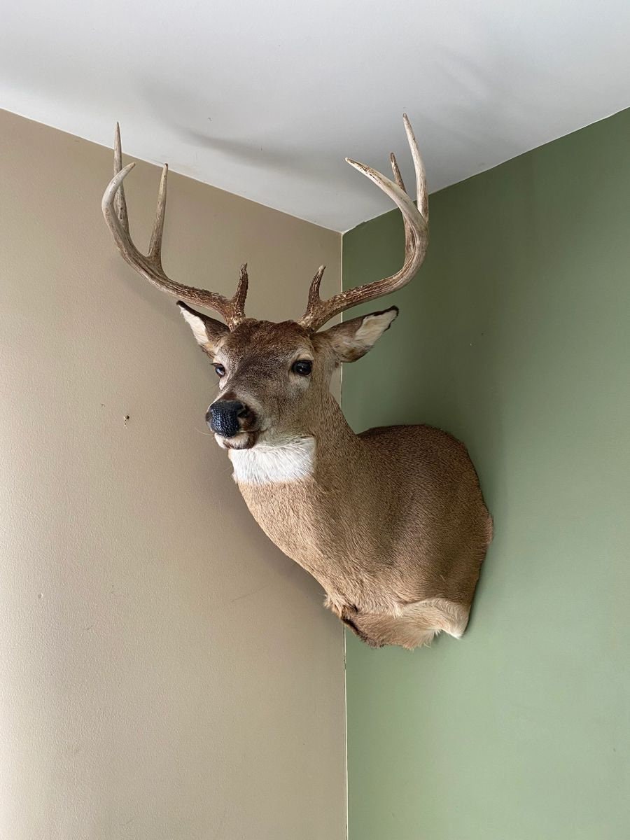 Adjustable Shoulder Mount Inside Corner Hanger | Etsy