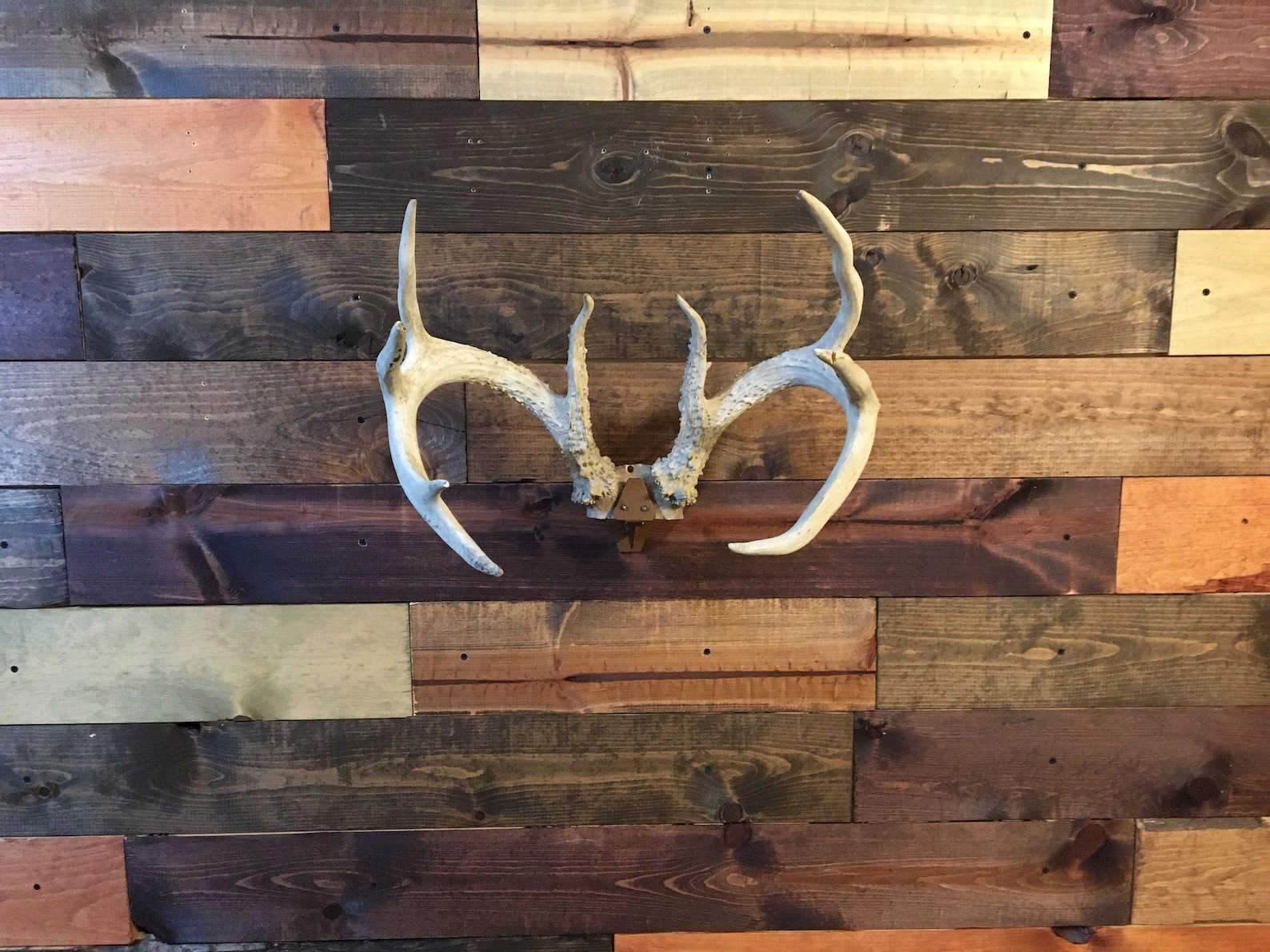 Skull Cap Mount Hanger - Etsy