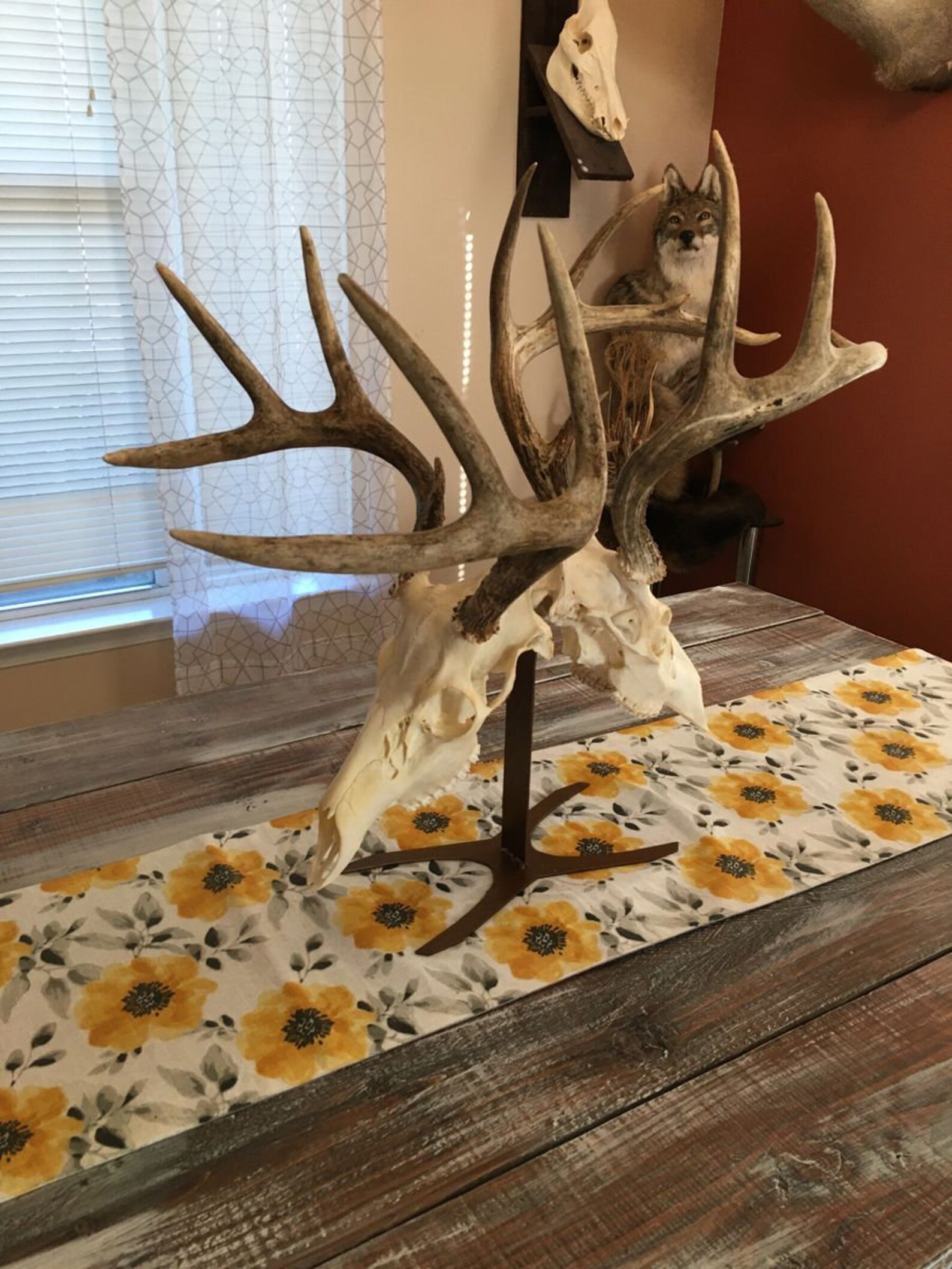 Double Table Top Mount Skull Hanger - Etsy