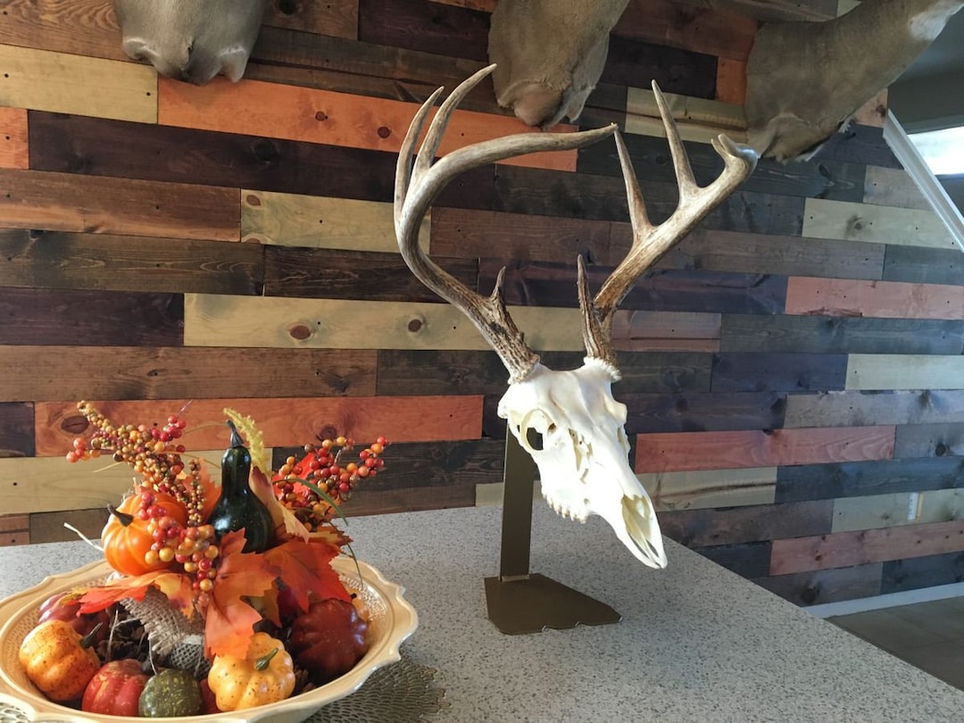 Table Top Mount Skull Hanger - Etsy