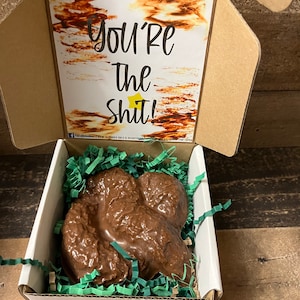 Chocolate Poop! Can Be Sent Anonymously! Hand Made Milk or Dark ...