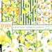 Citrus Digital Paper, Lemon , Orange, Limes. Watercolor Citrus Fruits ...