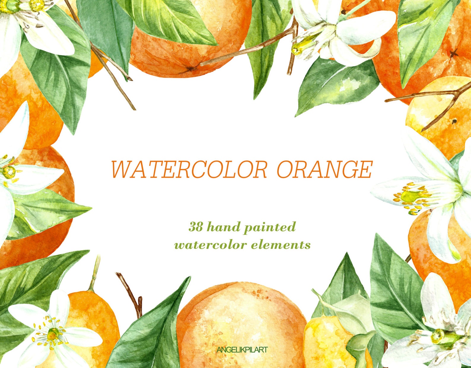 Orange Watercolor Clipart. 38 Watercolor Elements(orange Fruit, Flowers ...