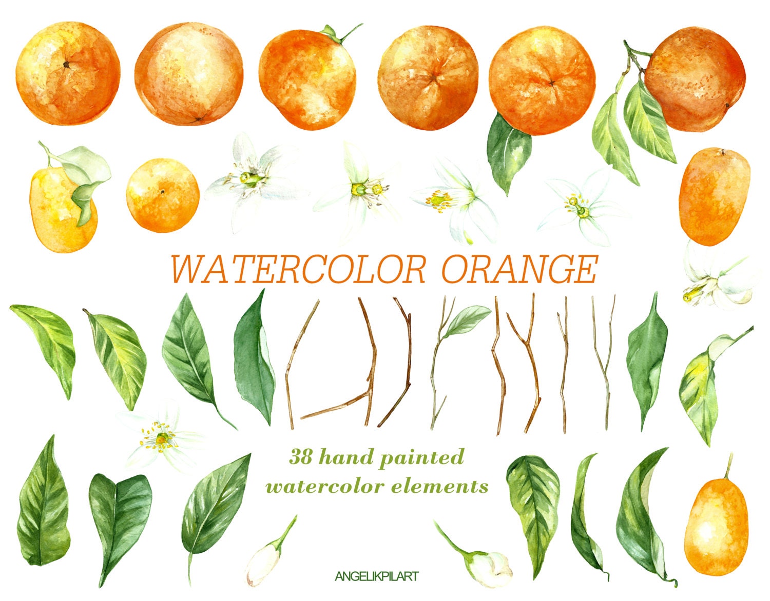 Orange Watercolor Clipart. 38 Watercolor Elements(orange Fruit, Flowers ...