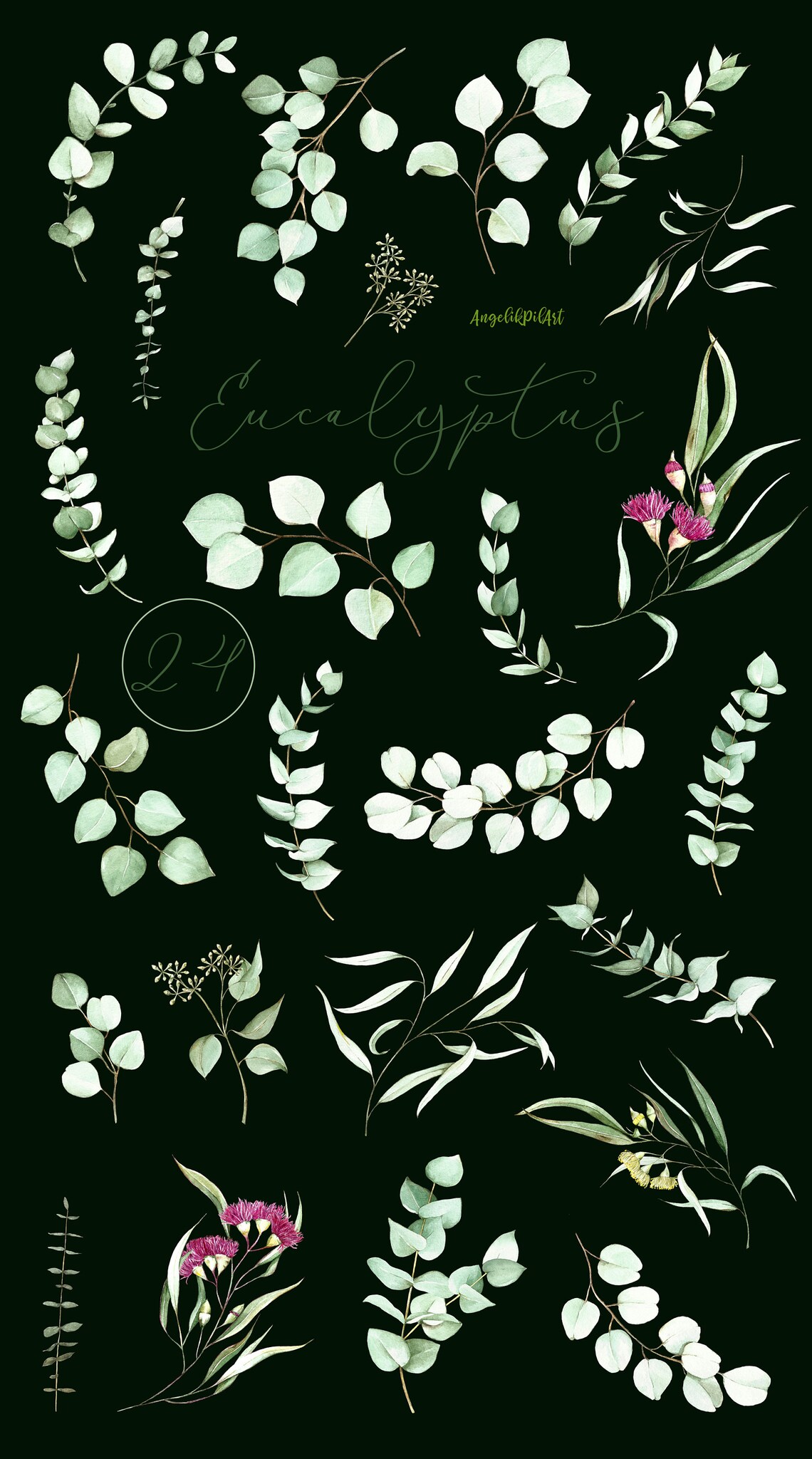 Eucalyptus Watercolor Clipart. Individual Elements Png. Green Leaves ...