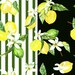 Citrus Digital Paper, Lemon , Orange, Limes. Watercolor Citrus Fruits ...