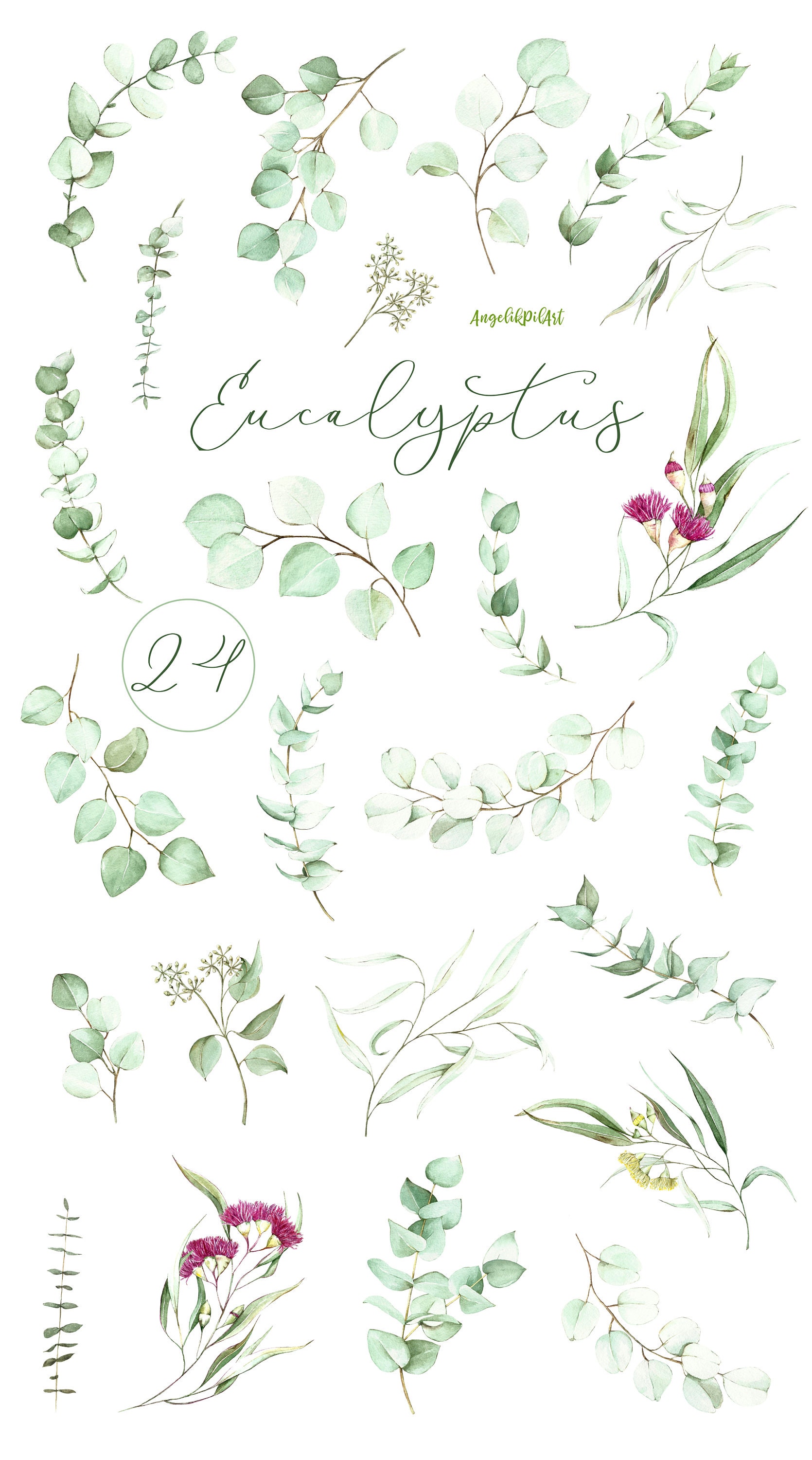 Eucalyptus Watercolor Clipart. Individual Elements Png. Green Leaves ...