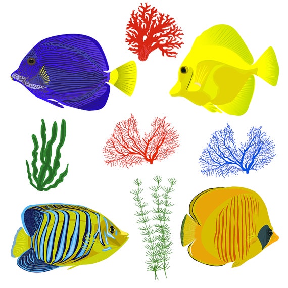 Set Clipart Red sea Fish Sea Shells Corals Digital Clip | Etsy