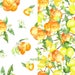 Citrus Digital Paper, Lemon , Orange, Limes. Watercolor Citrus Fruits ...