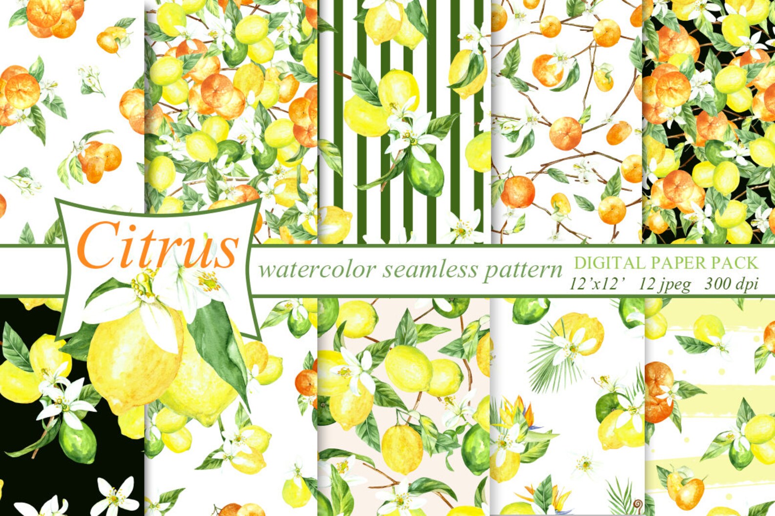 Citrus Digital Paper, Lemon , Orange, Limes. Watercolor Citrus Fruits ...
